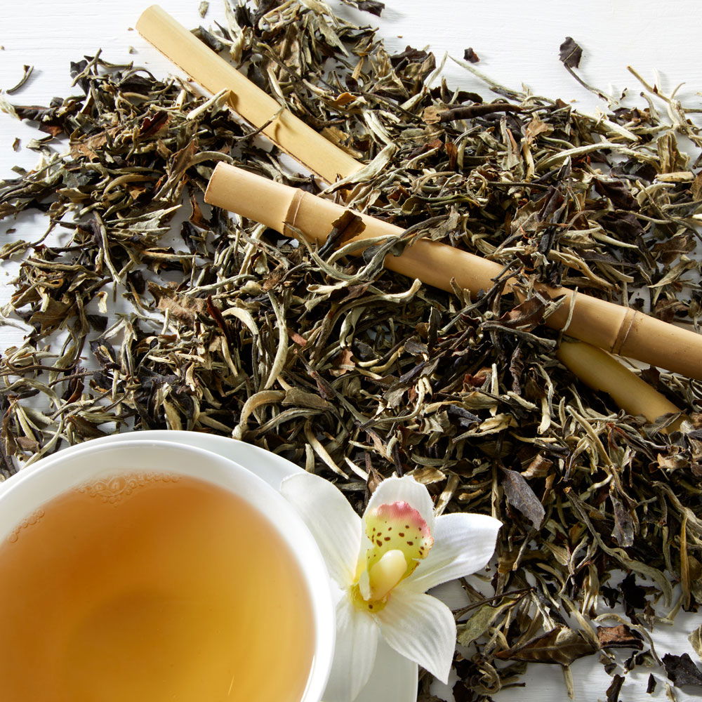 Schrader Weißer Tee China Moonlight Bio | Schrader Genussversand